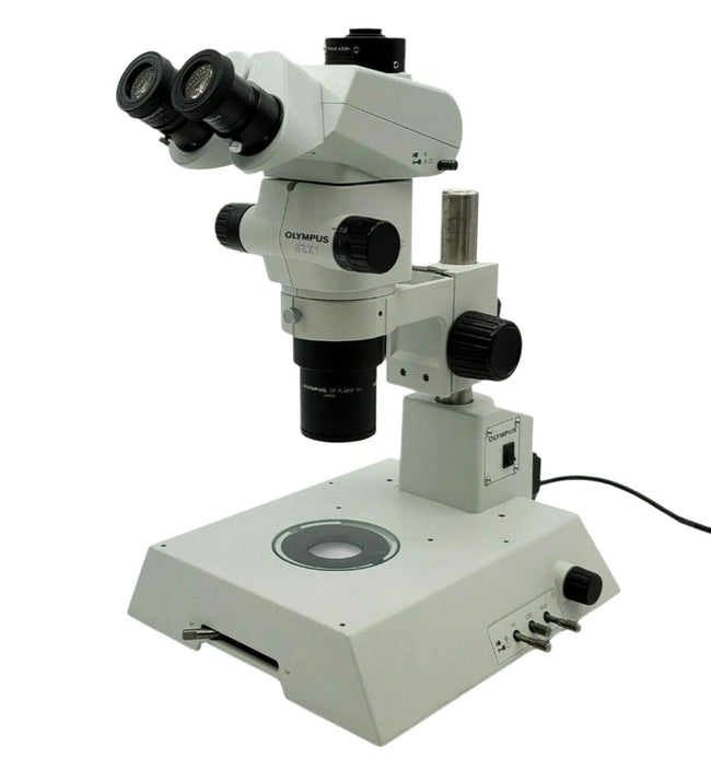 Compound Microscope vs Stereo Microscope – Microscope Marketplace