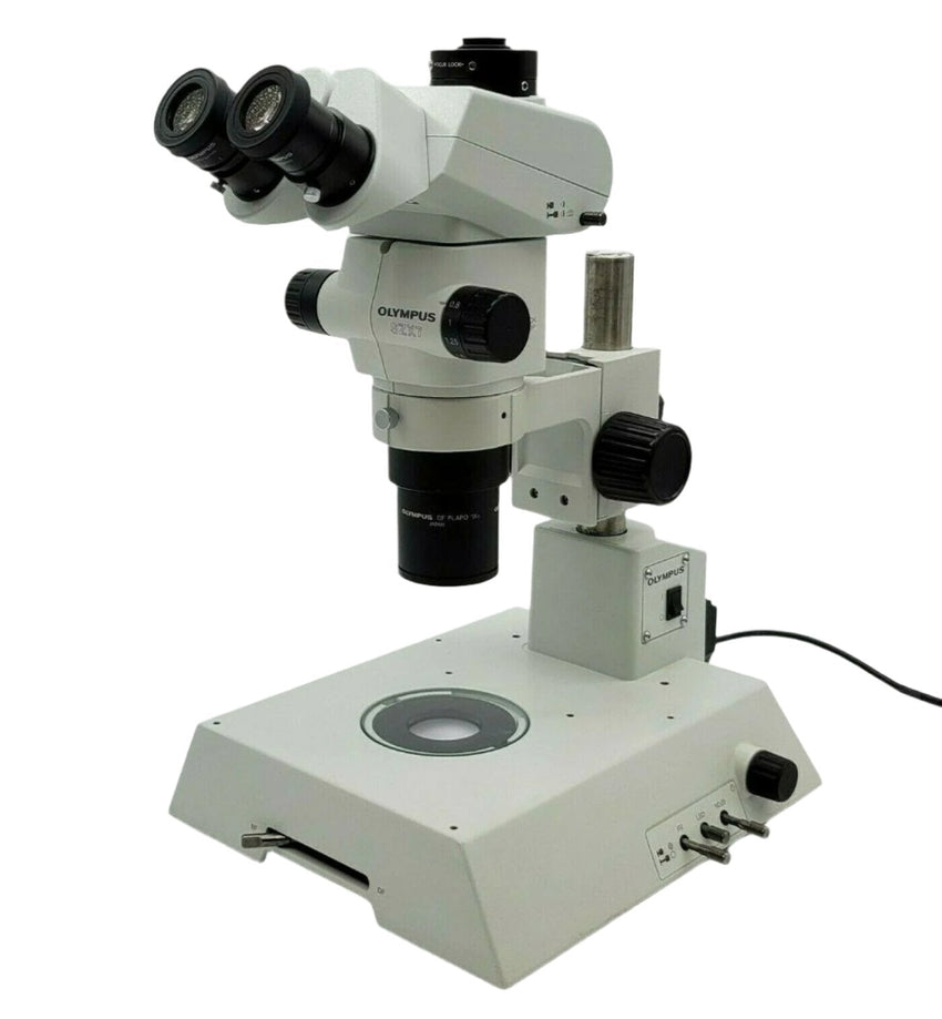 Compound Microscope vs Stereo Microscope | Microscope Marketplace