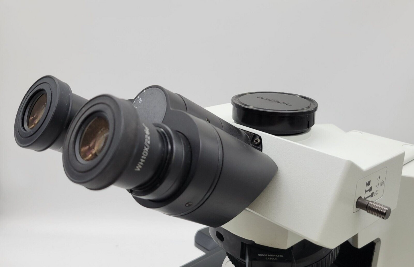 Microscope Heads | Microscope Marketplace
