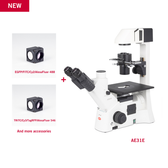 Motic AE31E with FITC and TRITC Filter Fluorescence Bundle Microscope