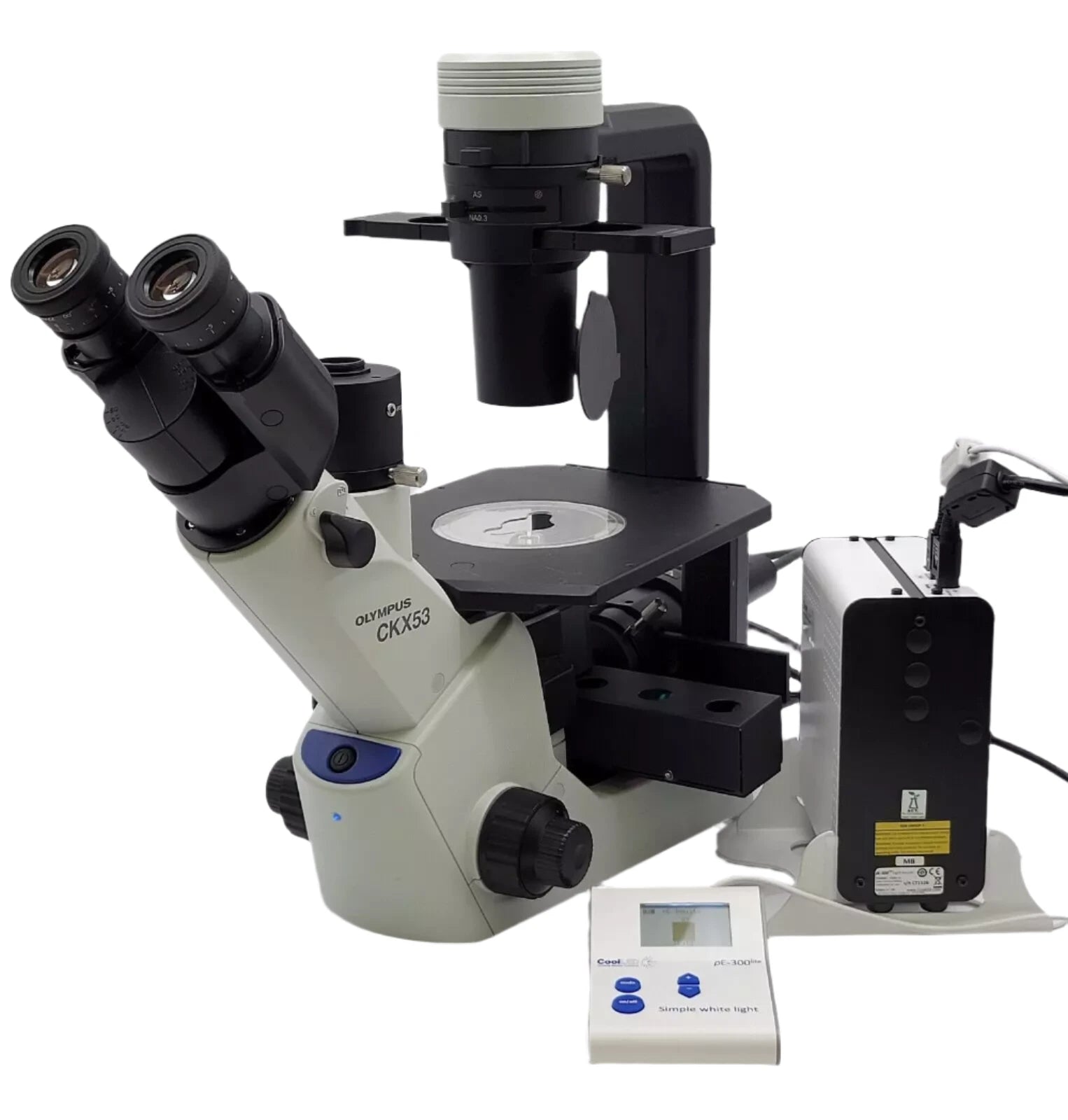 Olympus Microscope CKX53 with Phase Contrast and CoolLED Fluorescence ...