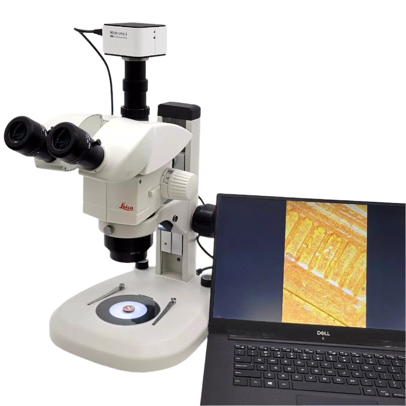 Leica Stereo Microscope M80 with Tucsen MIchrome 6 Camera and LED Light ...