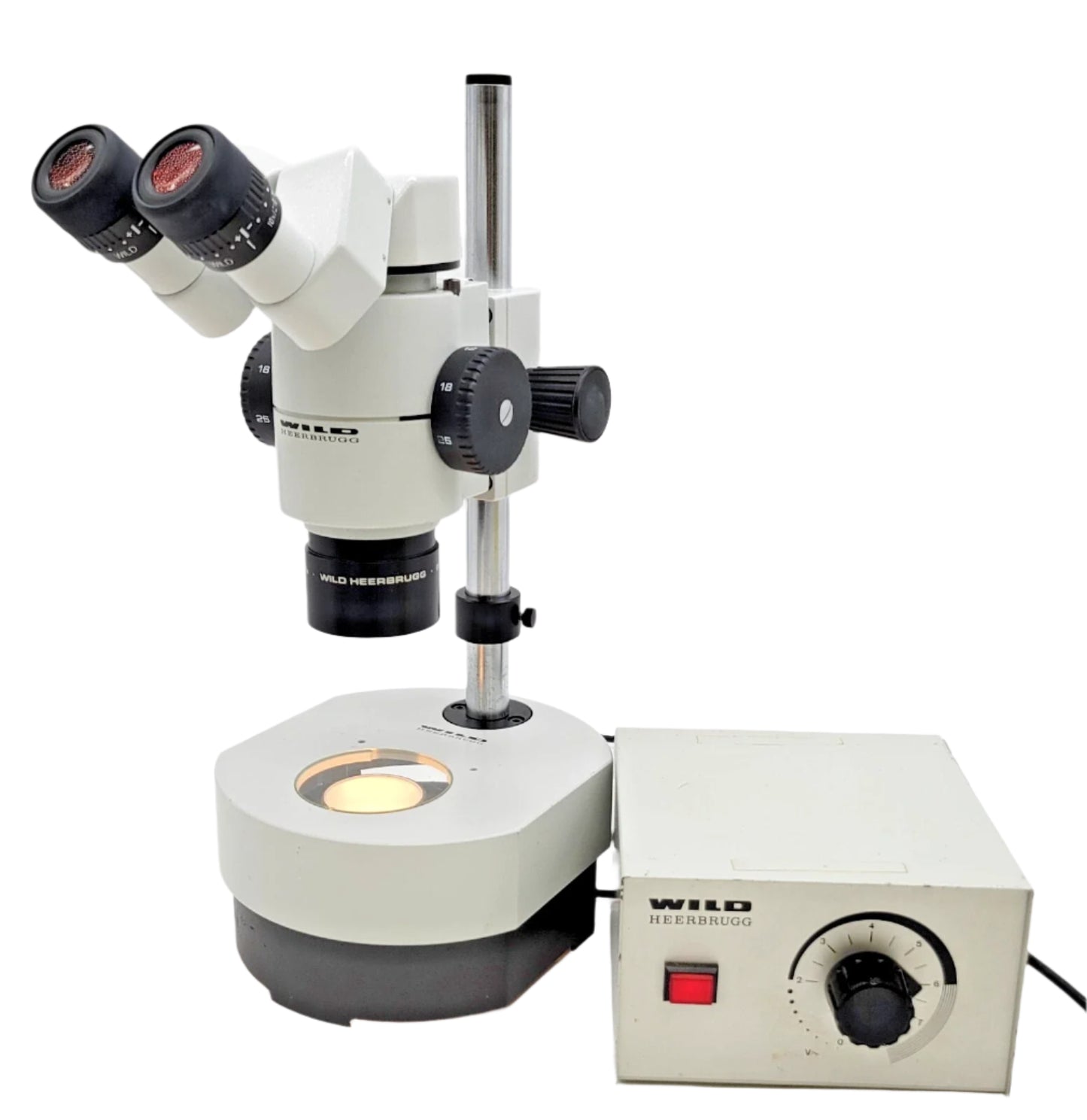Wild M8 Stereo Microscope with BF/DF Transmitted Light Base ...