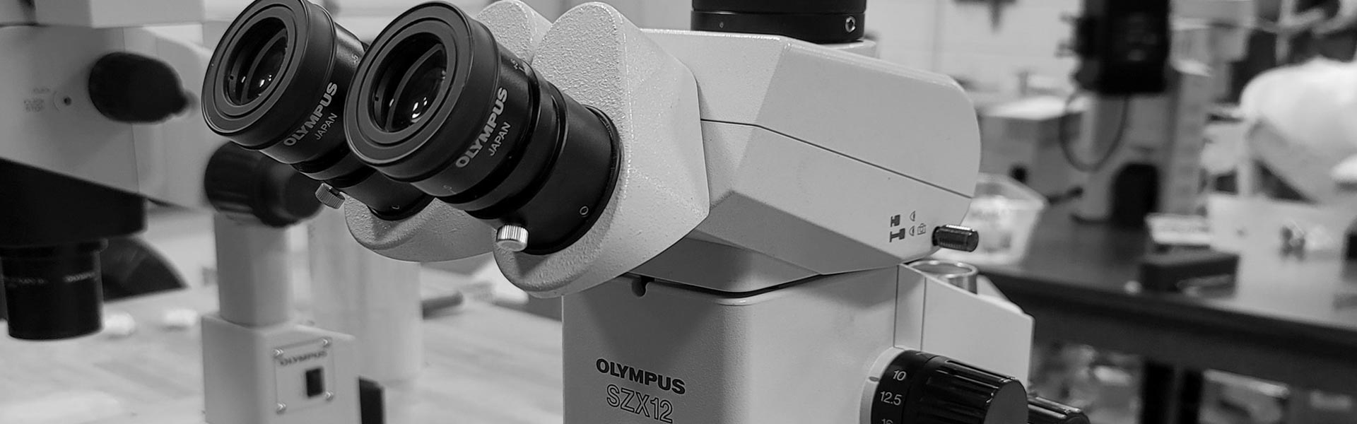 Used & Refurbished Microscopes | Olympus BX Microscopes | Pathology