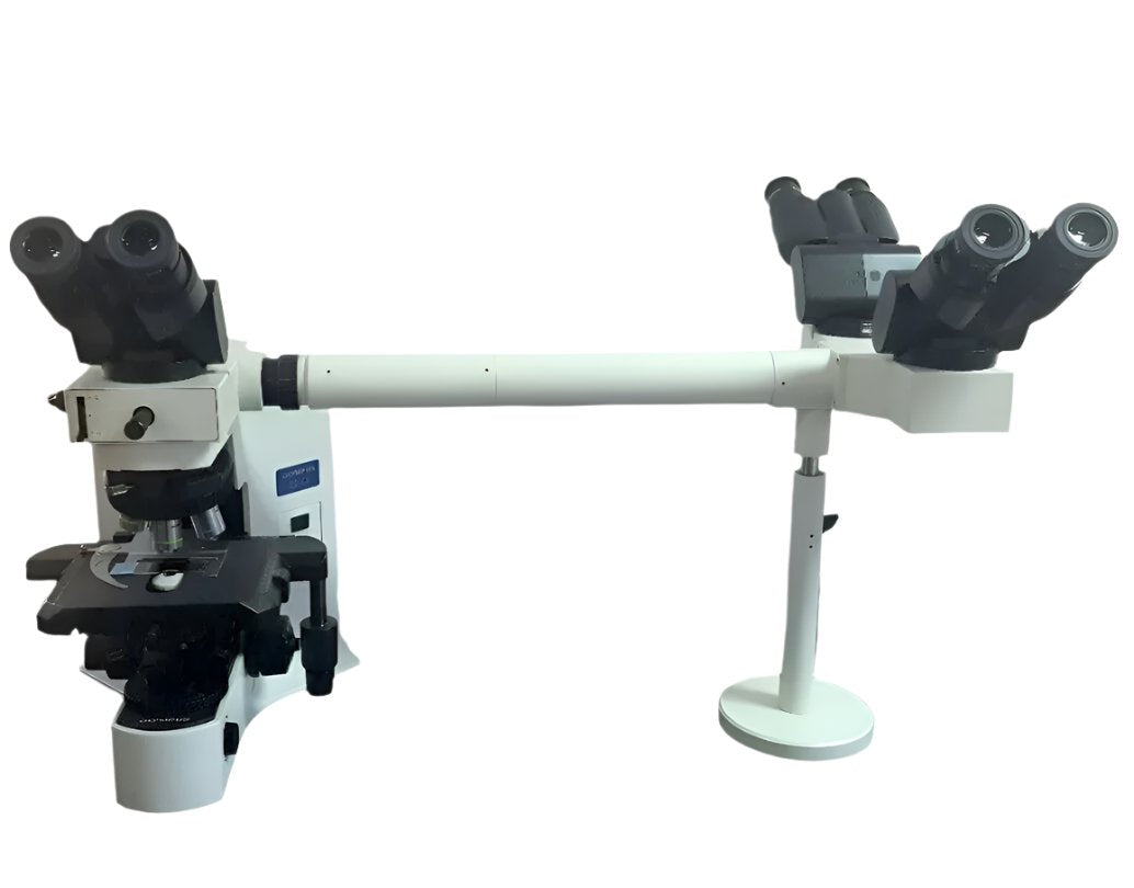 Olympus Microscope BX41 with 2X Multihead teaching (3 Heads) Mohs ...