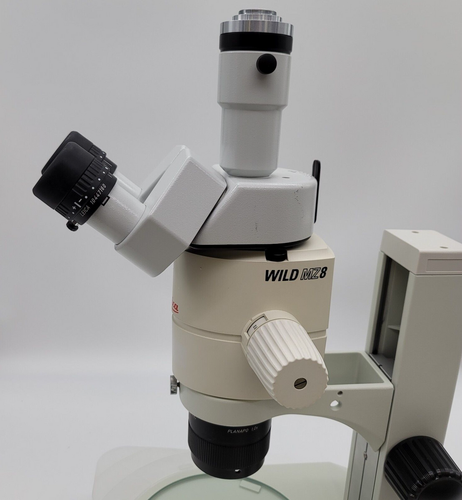 Leica Wild Microscope MZ8 With Mirror Illuminated Base for IVF – Microscope Marketplace
