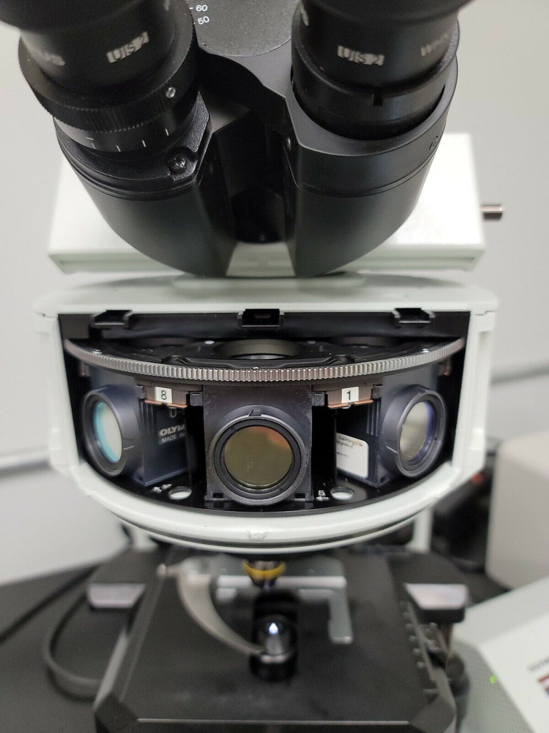 Olympus Microscope BX63 Fluorescence for FISH | Microscope Marketplace