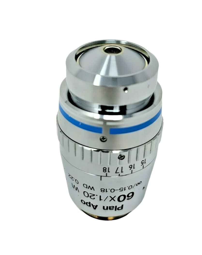 Nikon Microscope Objective Plan Apo 60X WI | Microscope Marketplace