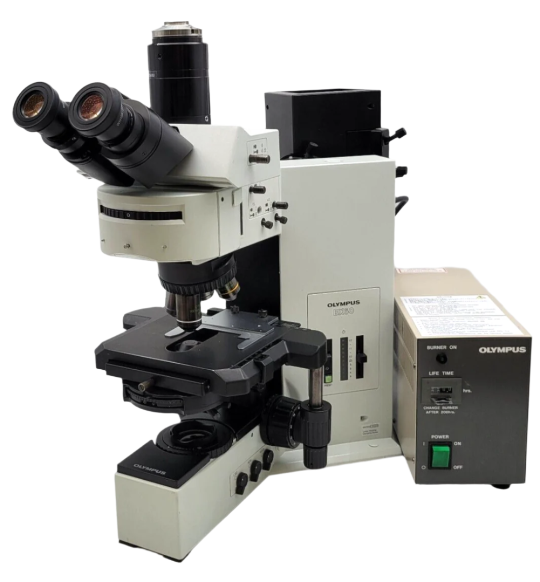 Olympus Microscope BX60 with Fluorescence, Phase Contrast, & Fluorite ...