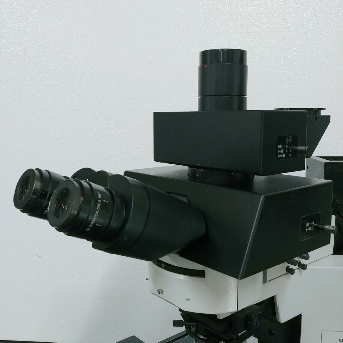 Olympus Microscope BX50WI Water Immersion with Fluorescence