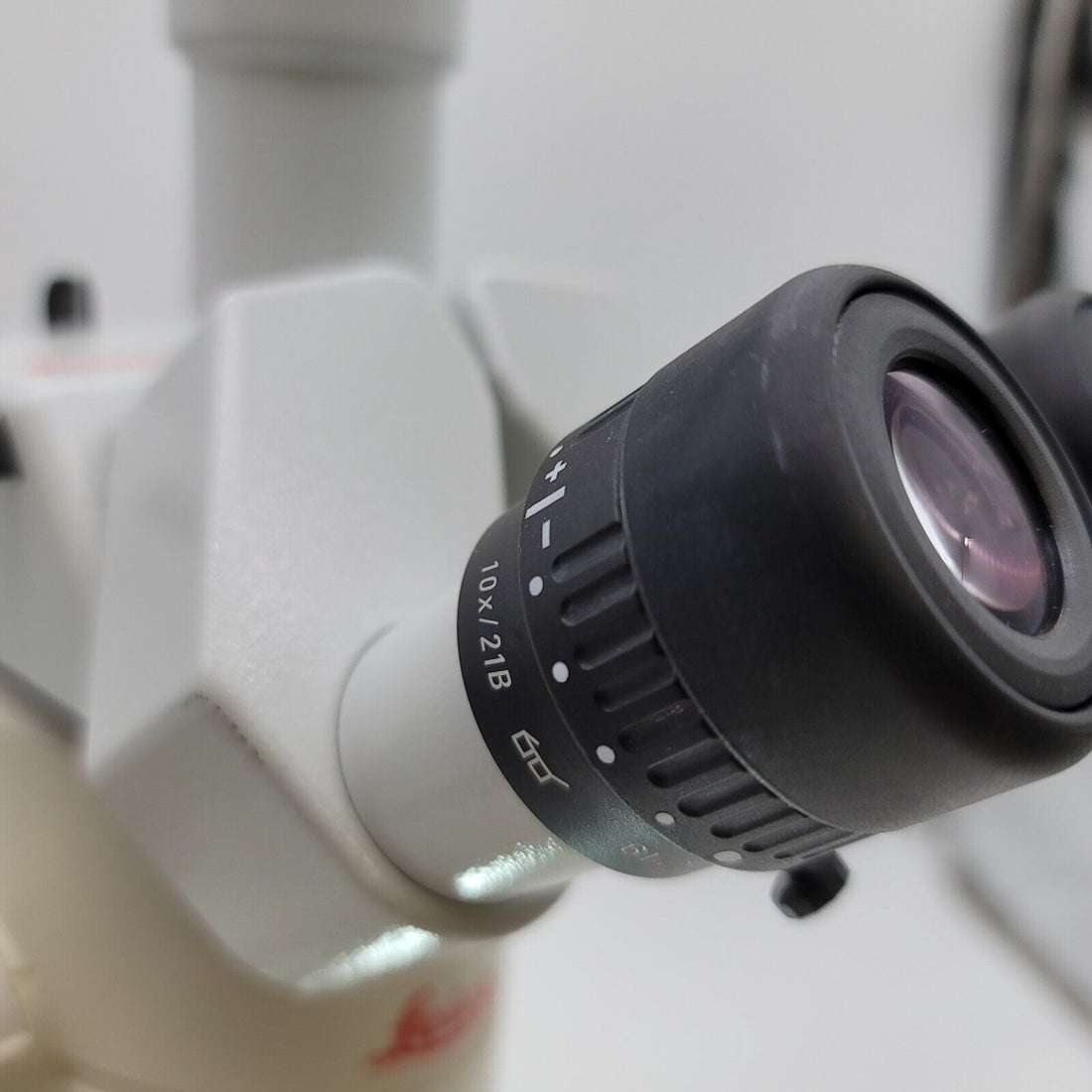 Leica Wild Microscope MZ8 Stereo Microscope With Mirror Illuminated ...